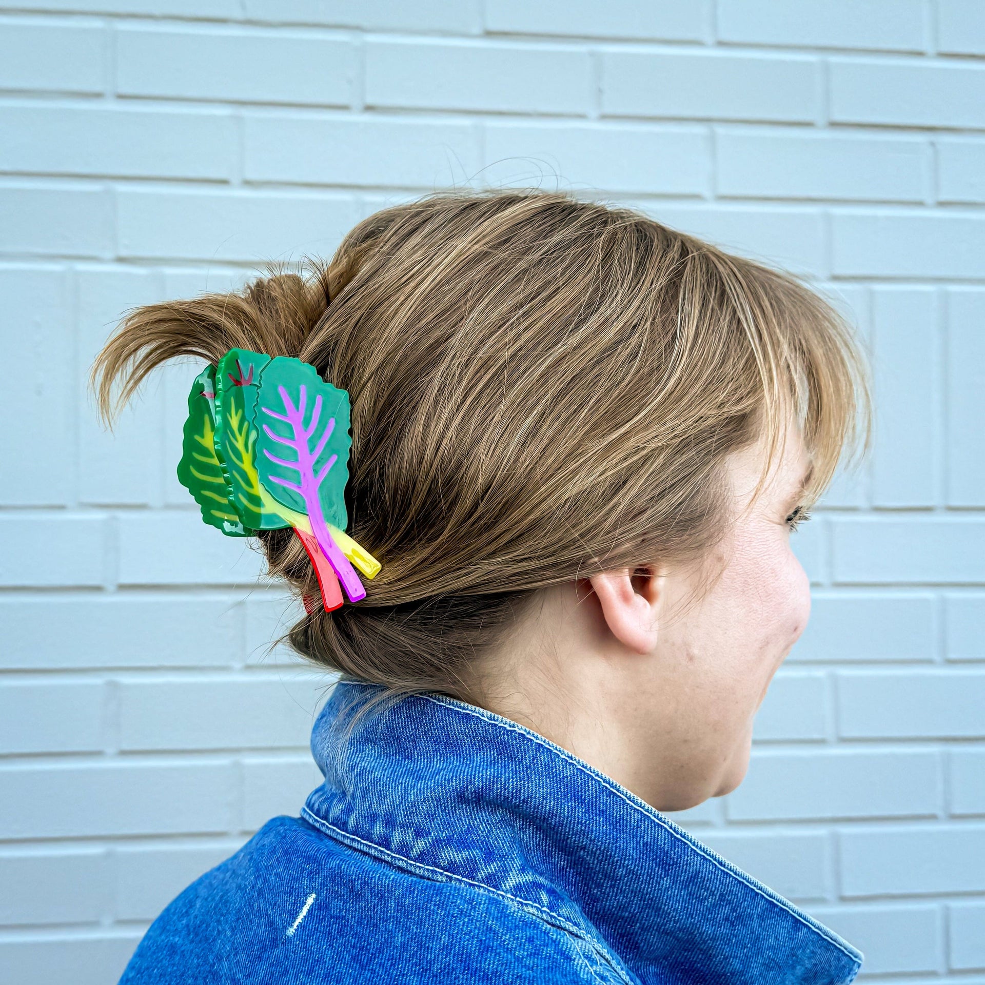 Large Rainbow Chard Hair Claw Clip – Jenny Lemons